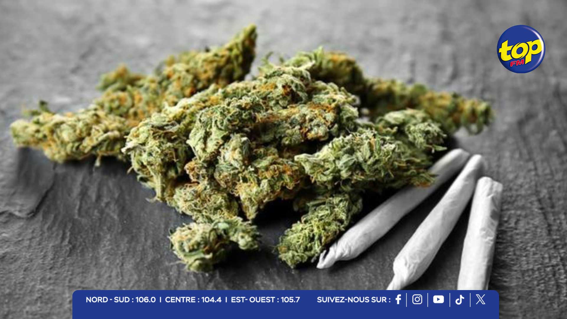 Consultations sur le cannabis : 800 avis déjà recueillis | TOP FM Mauritius